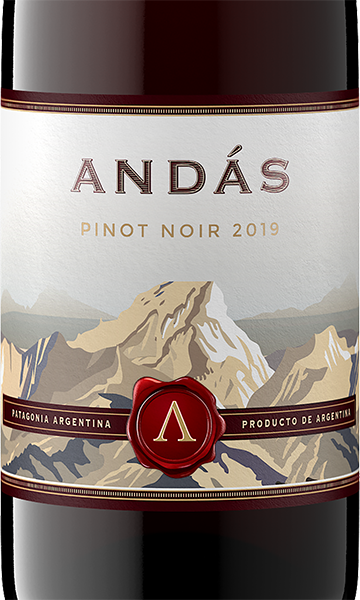 Buy Andás 2019 Pinot Noir Red from Argentina - Firstleaf